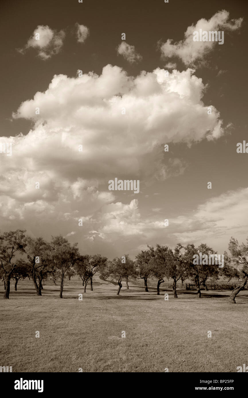Texas Landscape in Summer Stock Photo - Alamy