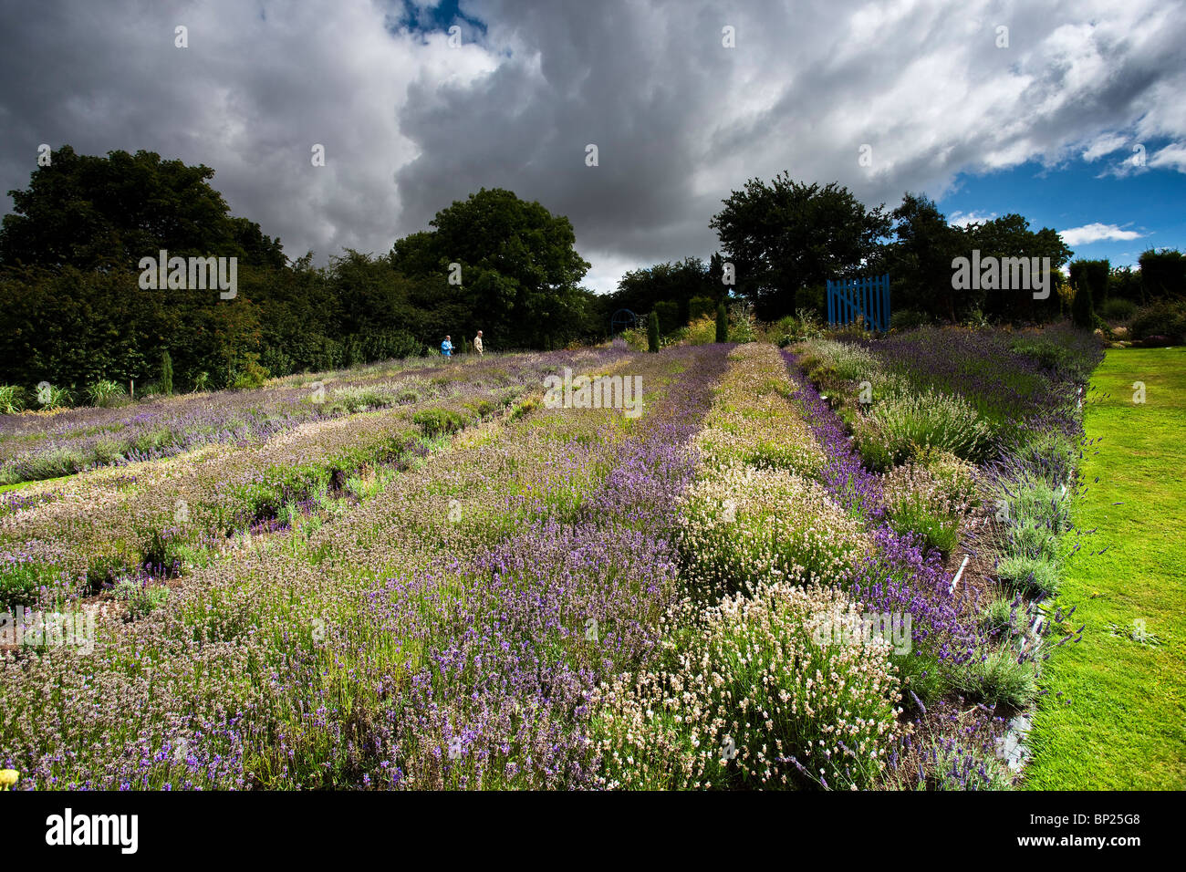 Howardian hills hi-res stock photography and images - Alamy
