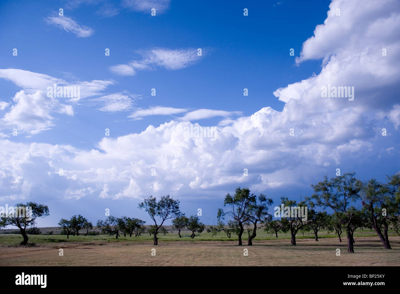 Landscape in West Texas Summer Stock Photo - Alamy