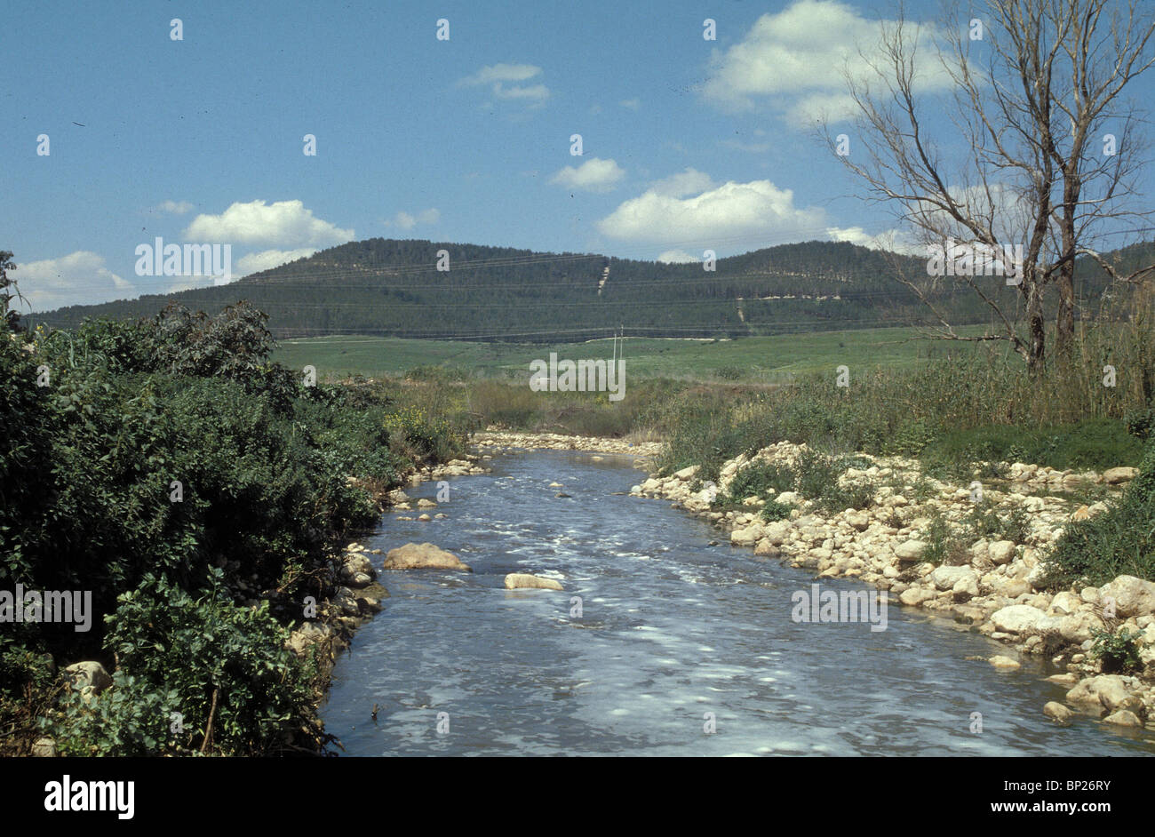 Nahal High Resolution Stock Photography and Images - Alamy