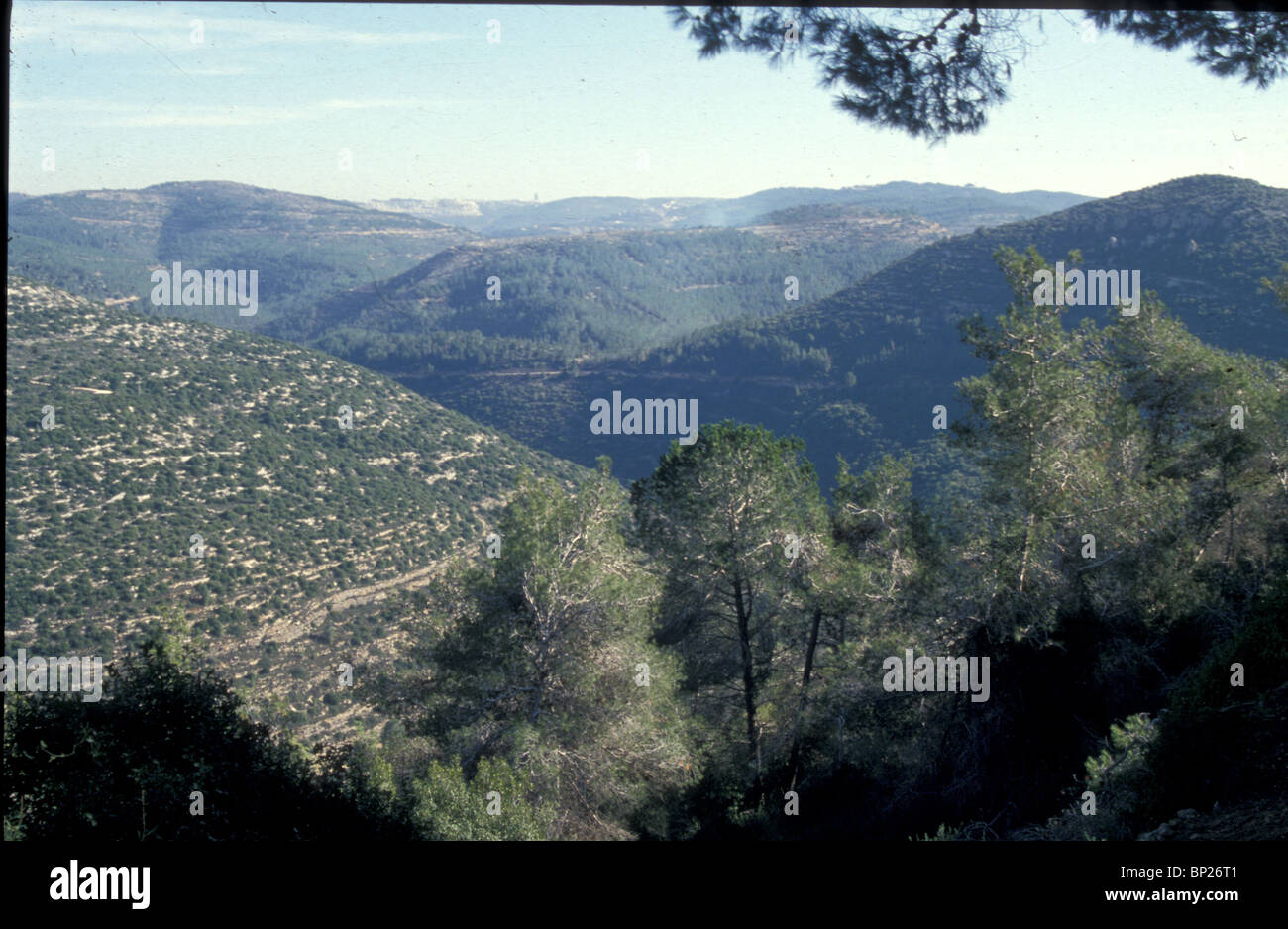 1255. VIEW ON THE JERUSALEM MOUNTAINS NEAR NAHAL SOREK Stock Photo - Alamy