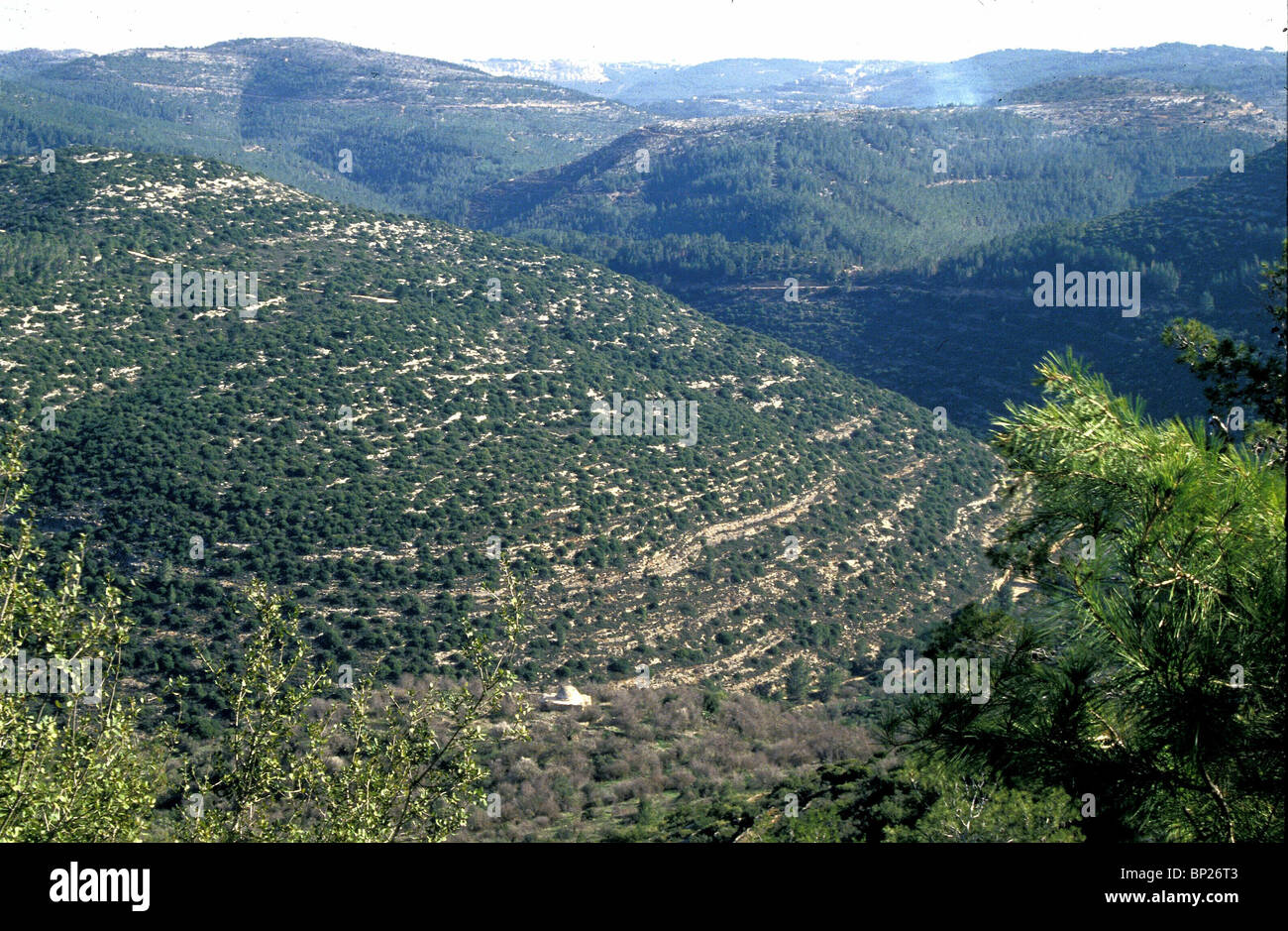 VIEW ON THE JERUSALEM MOUNTAINS NEAR NAHAL SOREK Stock Photo - Alamy