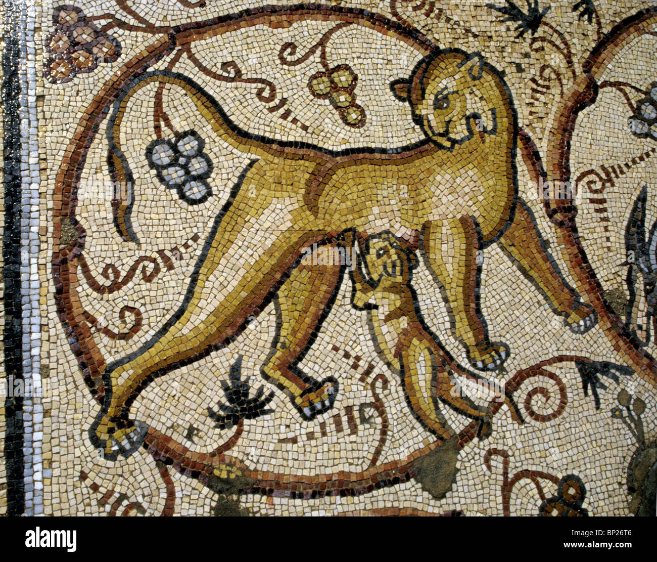 1257. DETAIL OF THE MOSAIC FLOOR OF THE 4TH. C. GAZA SYNAGOGUE ...