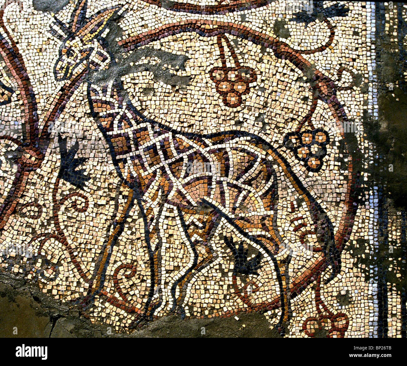 1257. DETAIL OF THE MOSAIC FLOOR OF THE 4TH. C. GAZA SYNAGOGUE ...