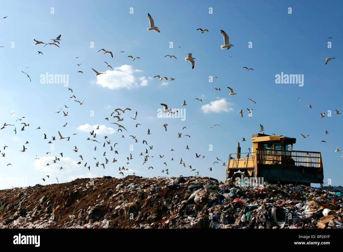 Landfill bulldozer hi-res stock photography and images - Alamy