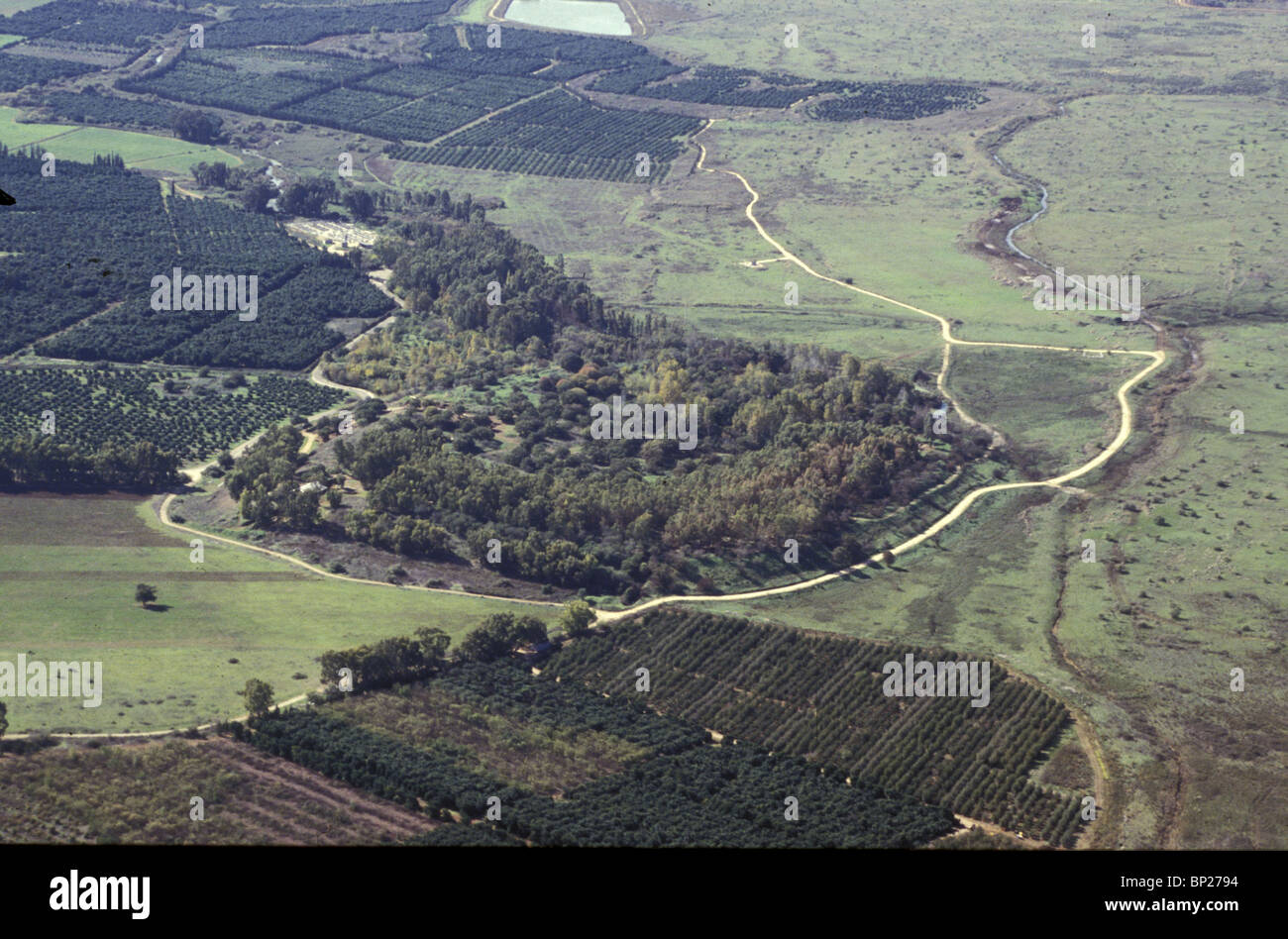 Laish hi-res stock photography and images - Alamy