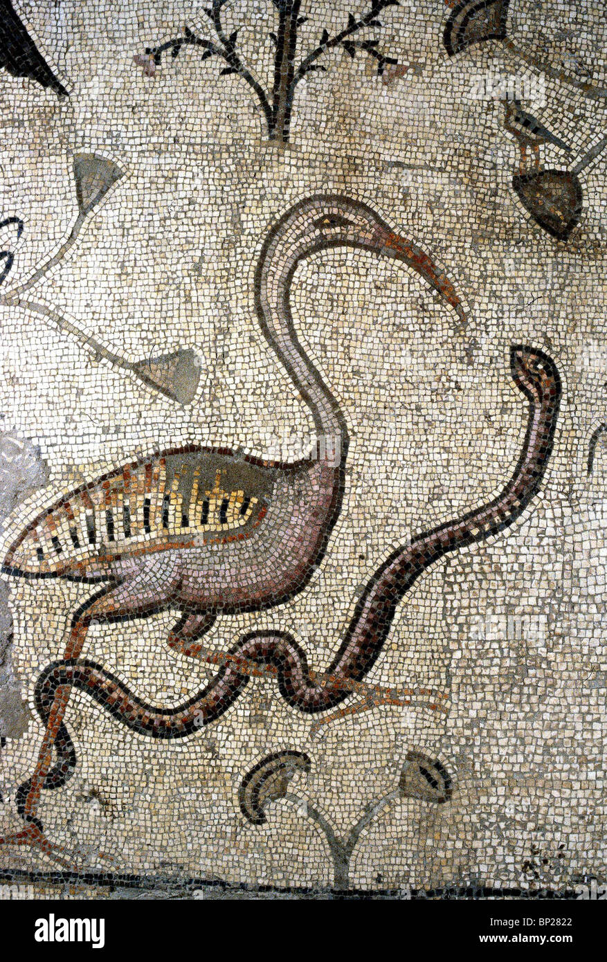 Snake mosaic hi-res stock photography and images - Alamy