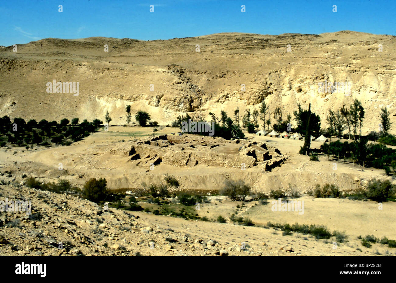 Kadesh barnea hi-res stock photography and images - Alamy