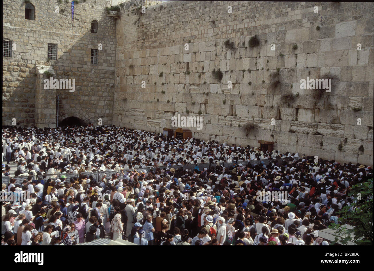 2080. PILGRIMS AT THE WESTERN WALL DURING THE PASSOVER PILGRIMAGE Stock ...