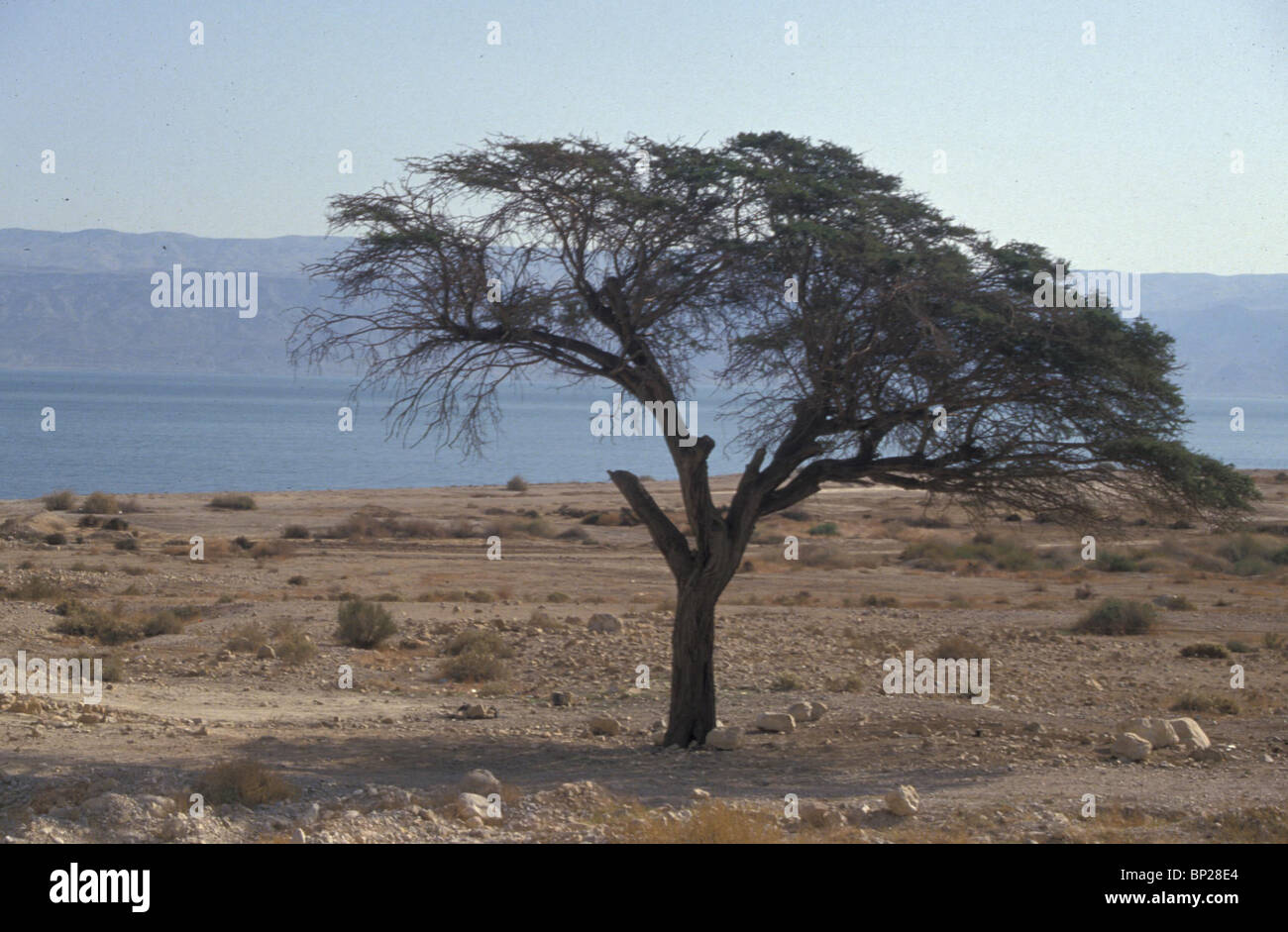 Moav Mountains High Resolution Stock Photography and Images - Alamy