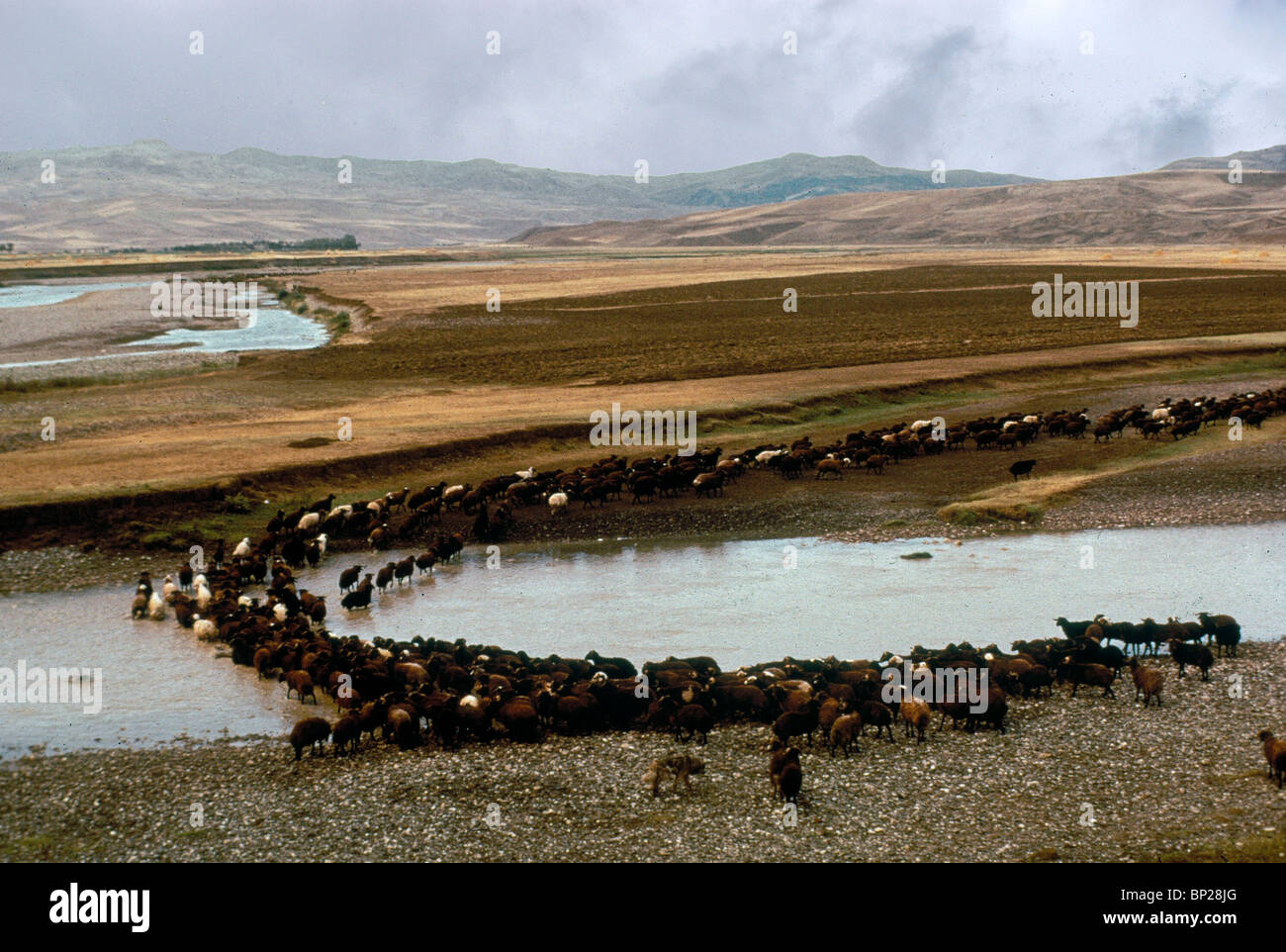 Euphrates river hi-res stock photography and images - Alamy