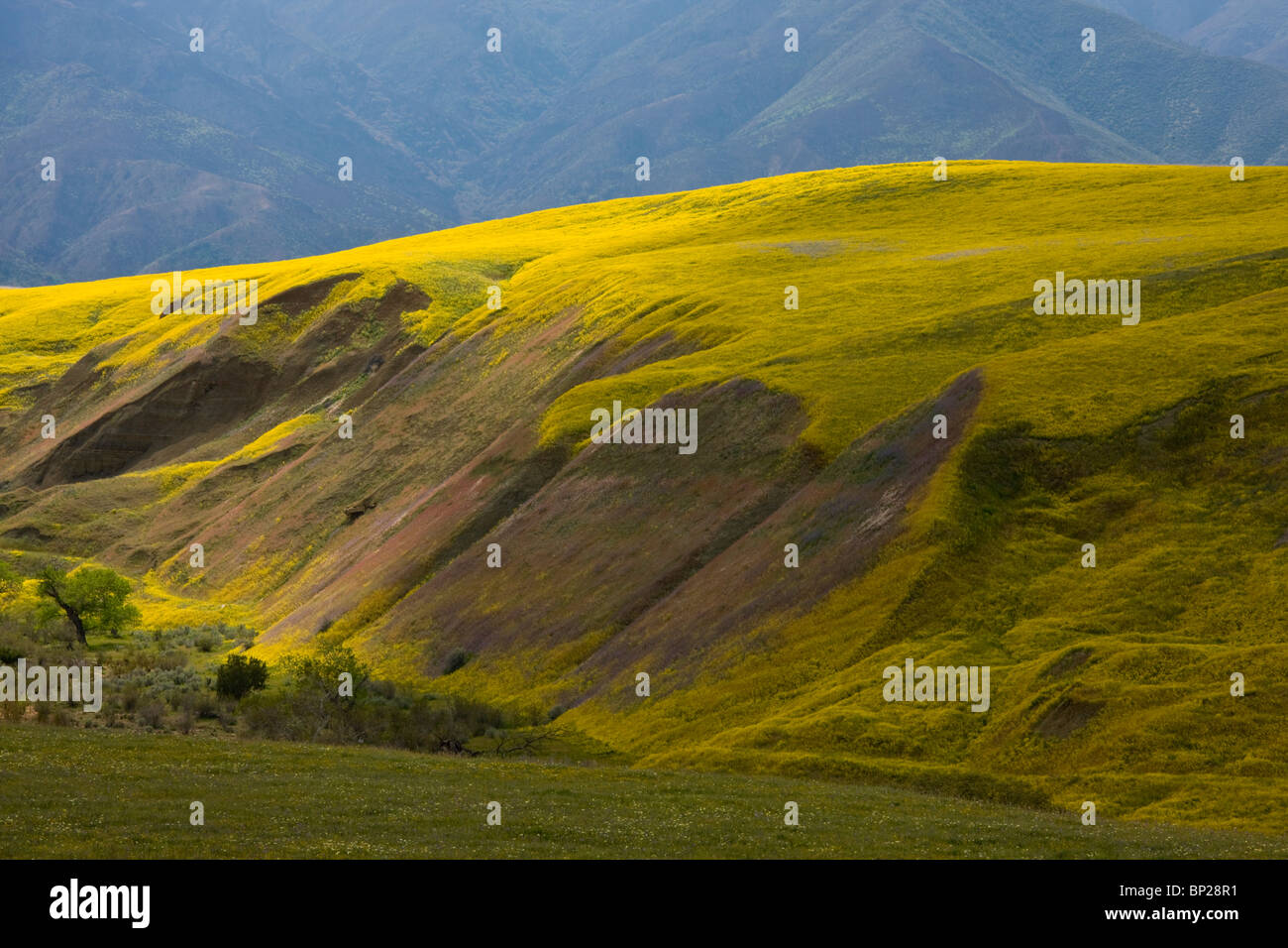 Southern californian countryside hi-res stock photography and images ...