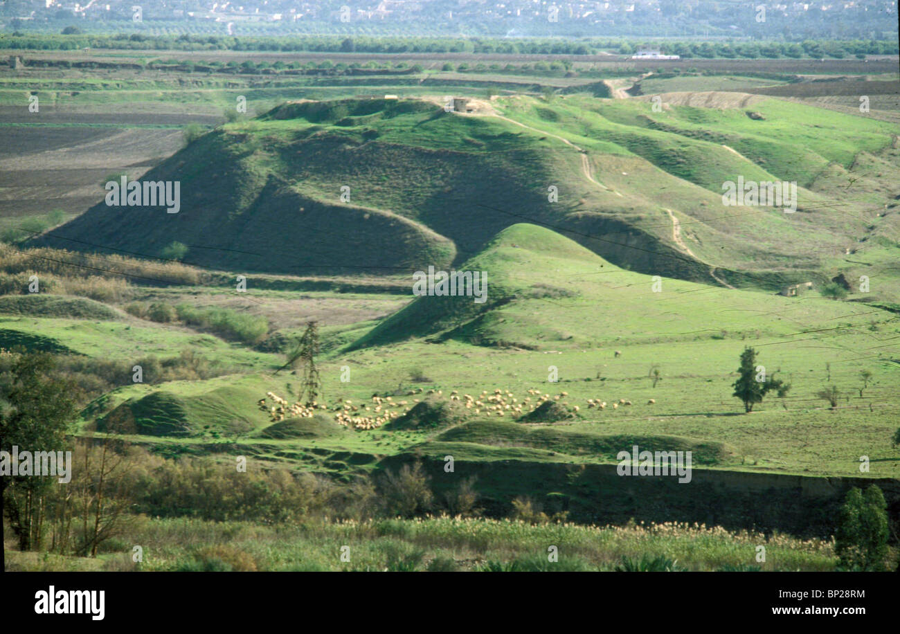TEL SUCCOTH IN THE JORDAN VALLEY THE PLACE WHERE JACOB CAMPED AFTER ...