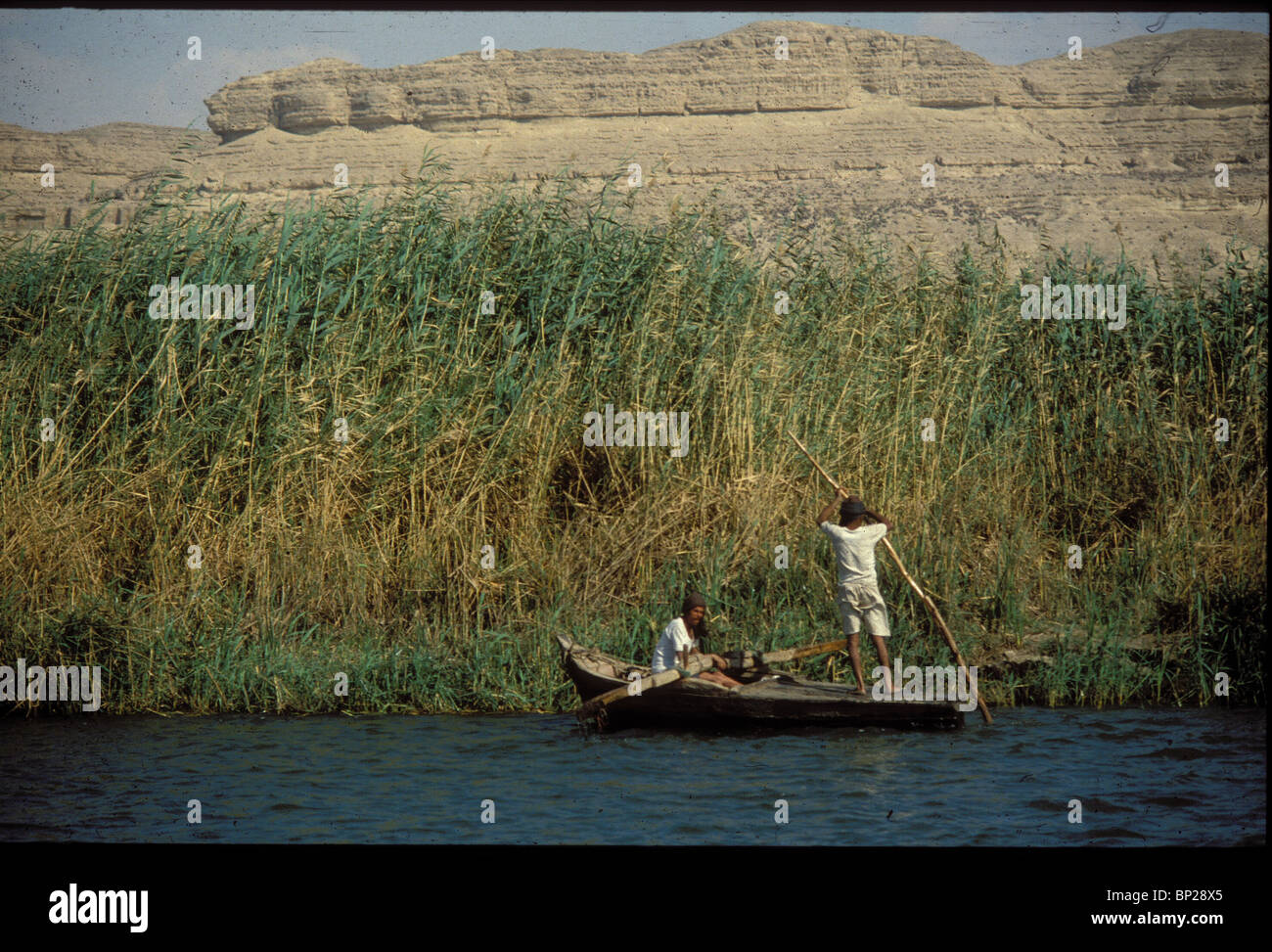 Papyrus High Resolution Stock Photography and Images - Alamy