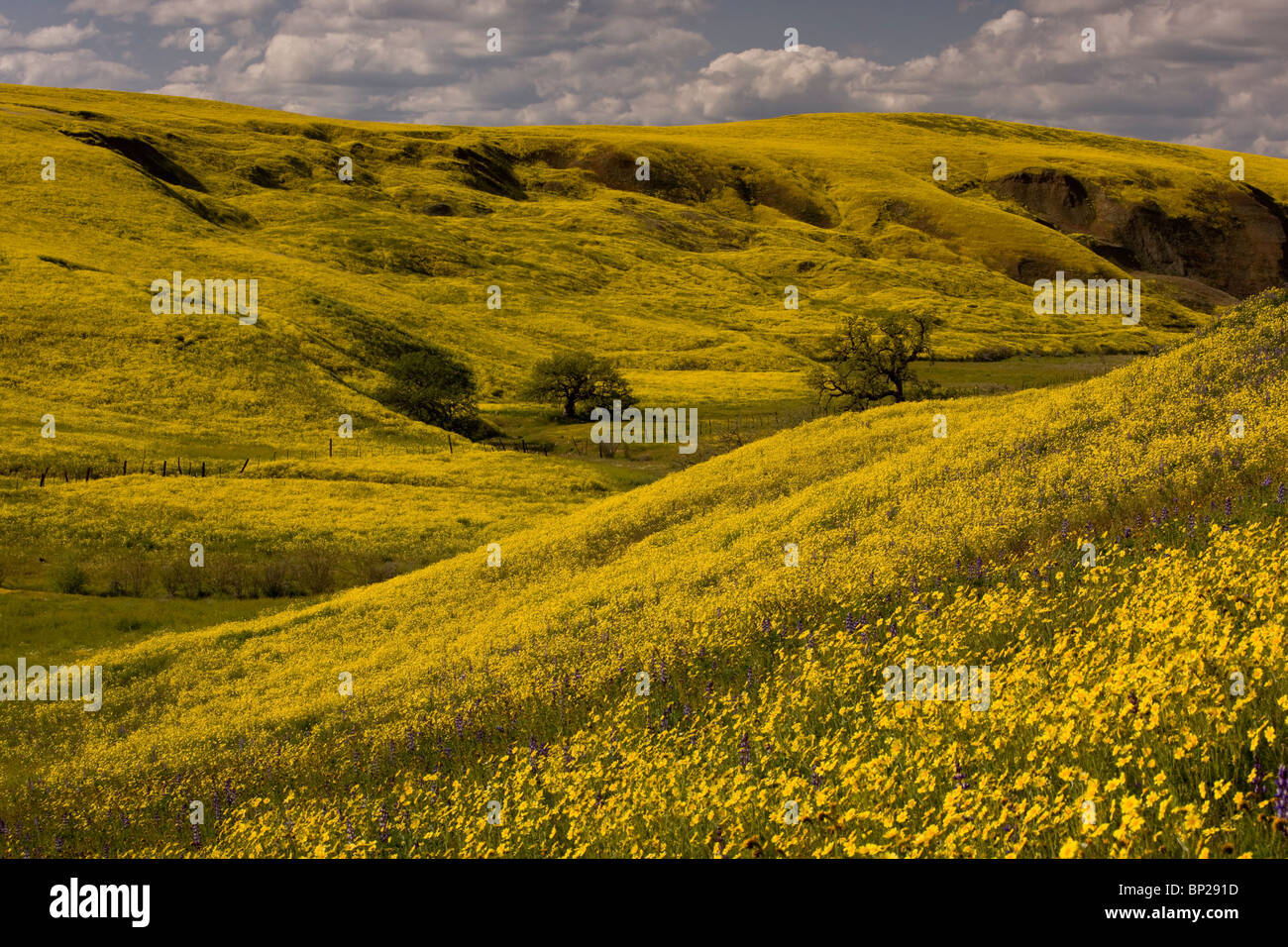 Slopes hillsides hi-res stock photography and images - Alamy
