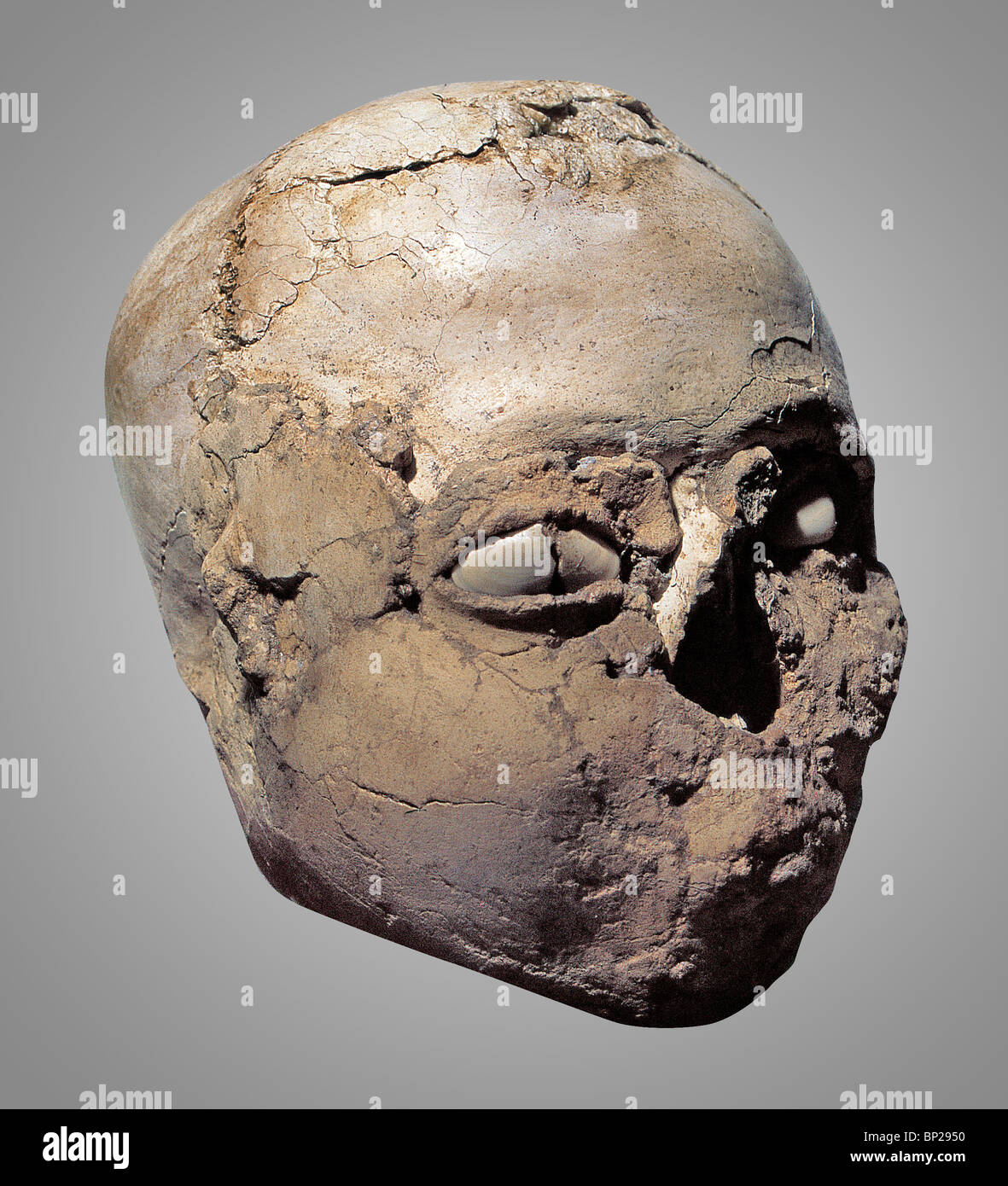 Jericho skull neolithic hi-res stock photography and images - Alamy