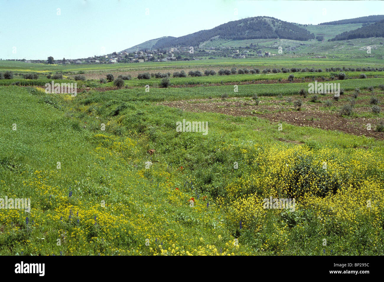 NAIN village of Galilee SE of Nazareth. It is the modern Nein (Israel ...