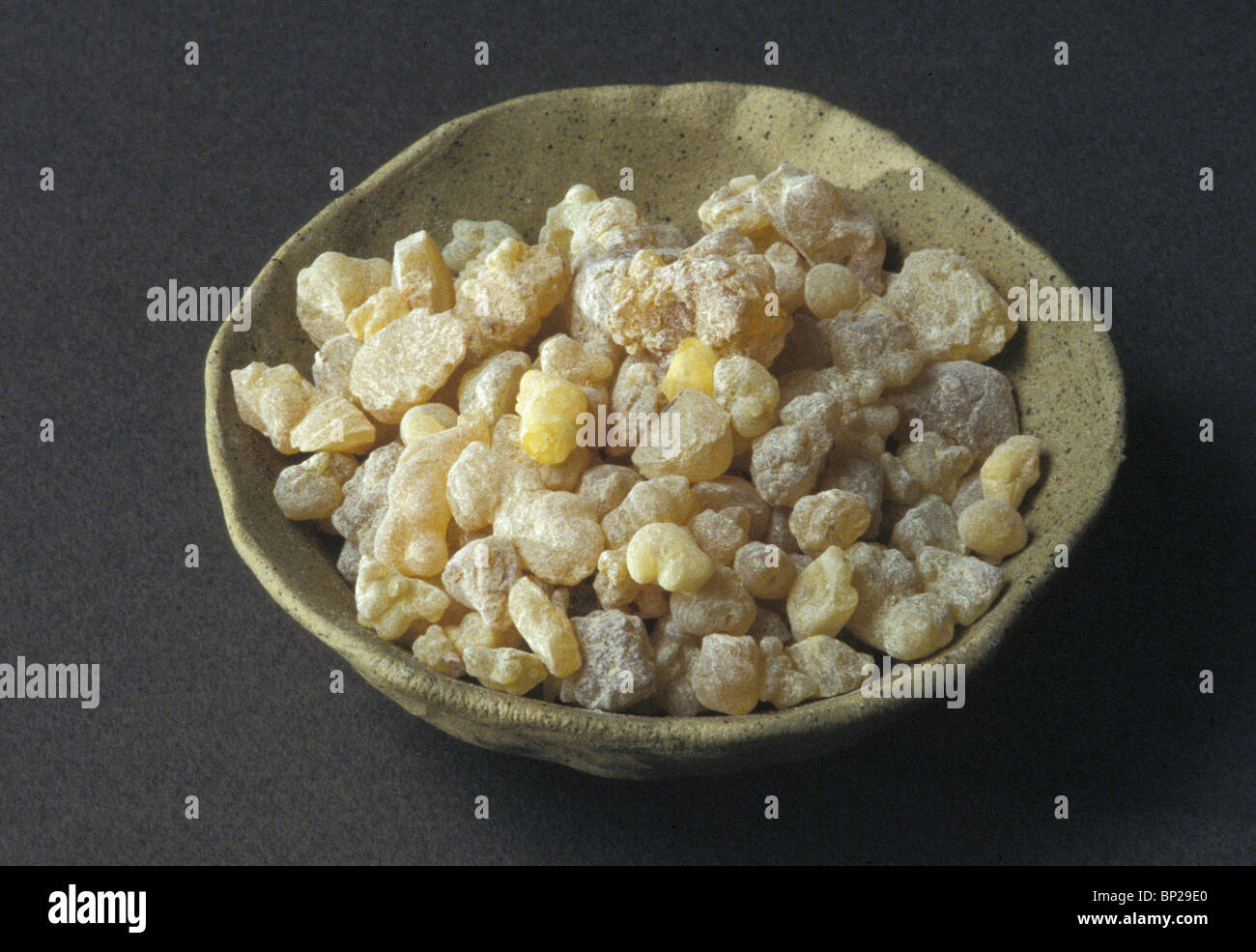 FRANKINCENSE - GUM GRAINS EXUDED FROM BOSWELLIA TREES WHICH GROW IN ...