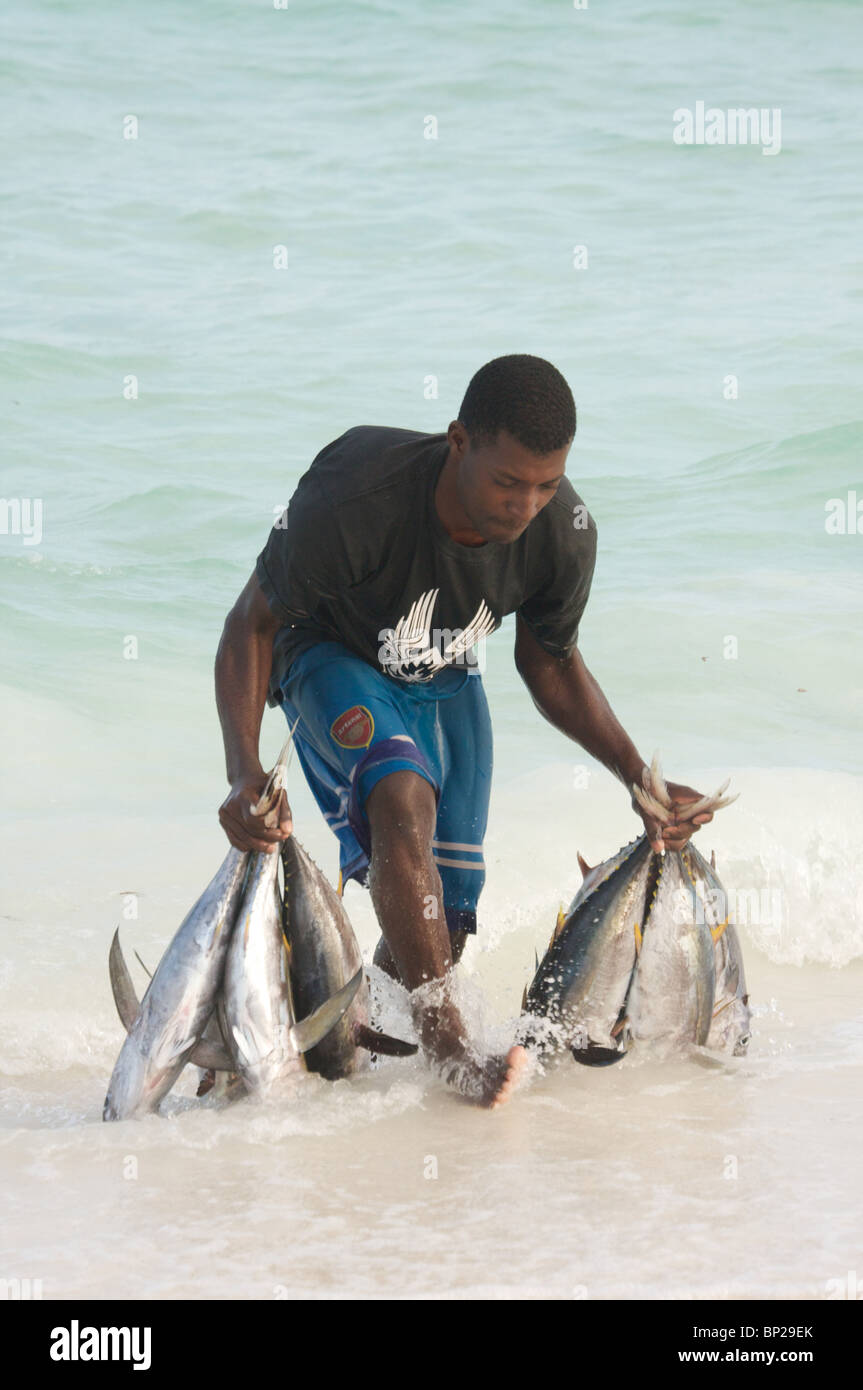A fisherman bringing fish out of the sea to auction on Nungwi beach ...