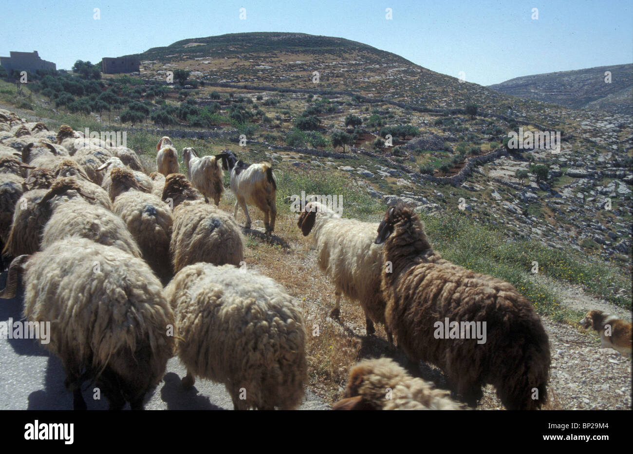 Michmash hi-res stock photography and images - Alamy