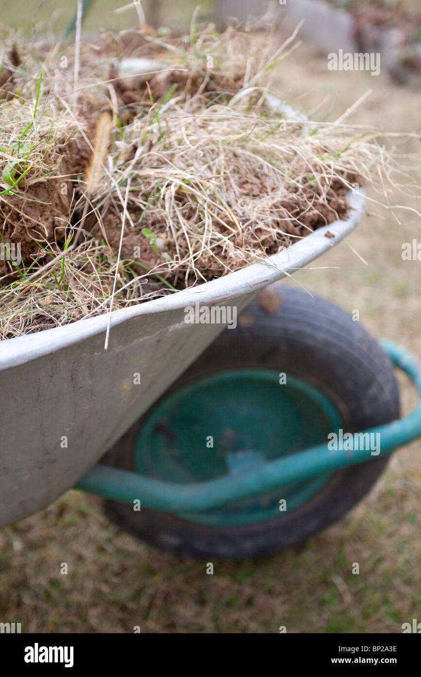 Grass wheelbarrow hi-res stock photography and images - Alamy