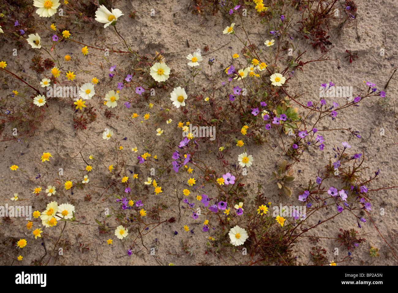 Spring at the creek hi-res stock photography and images - Alamy