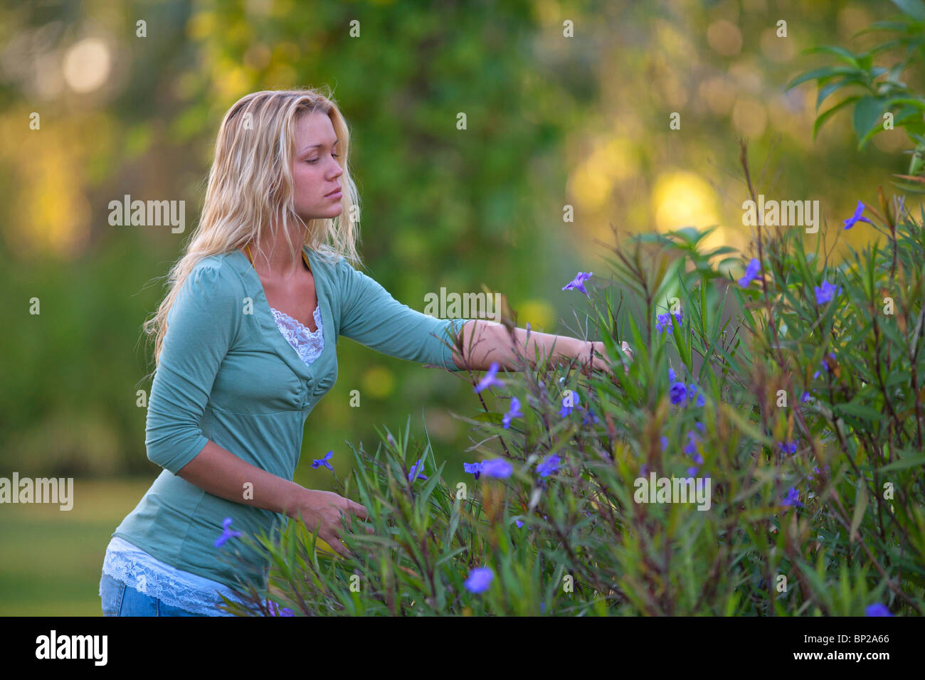 Girl in nature picking flowers Stock Photo - Alamy