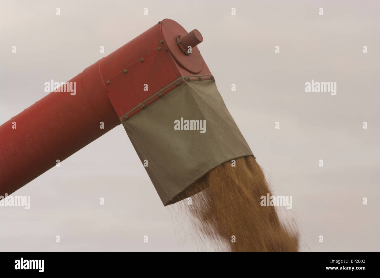 Grain pouring from combine hi-res stock photography and images - Alamy