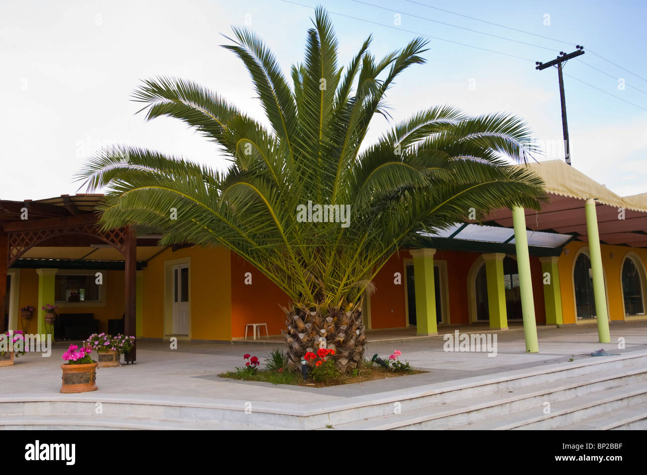 Corfu Palm Tree High Resolution Stock Photography and Images - Alamy