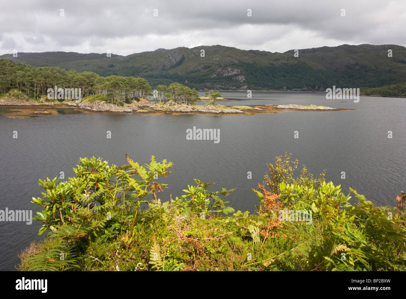 Loch moidart scotland hi-res stock photography and images - Alamy