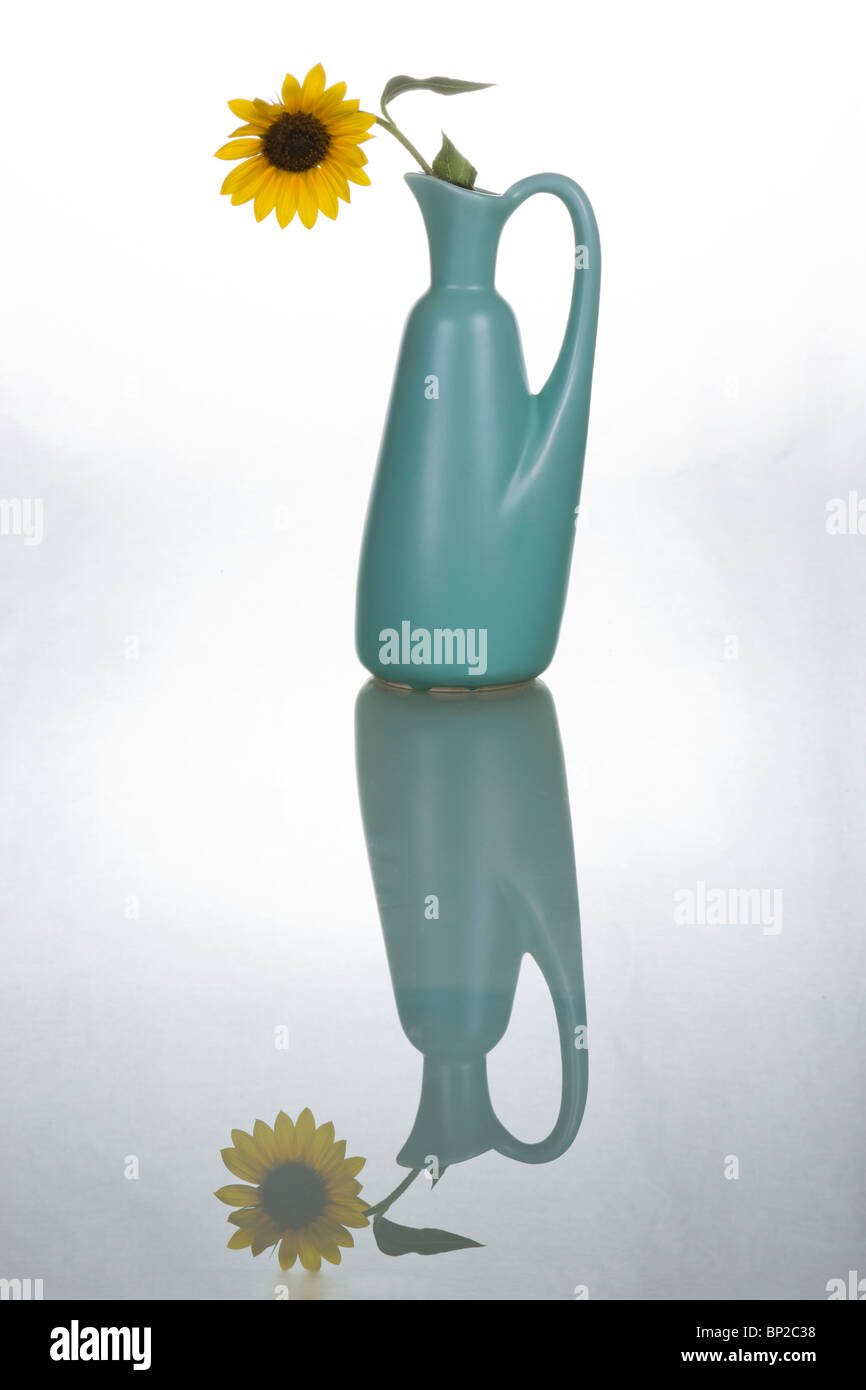 Light blue ceramic pitcher with sunflower and reflection Stock Photo ...