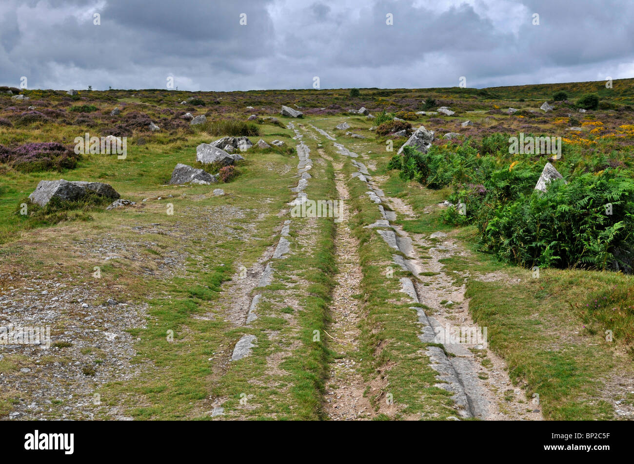 Haytor dartmoor granite tramway hi-res stock photography and images - Alamy