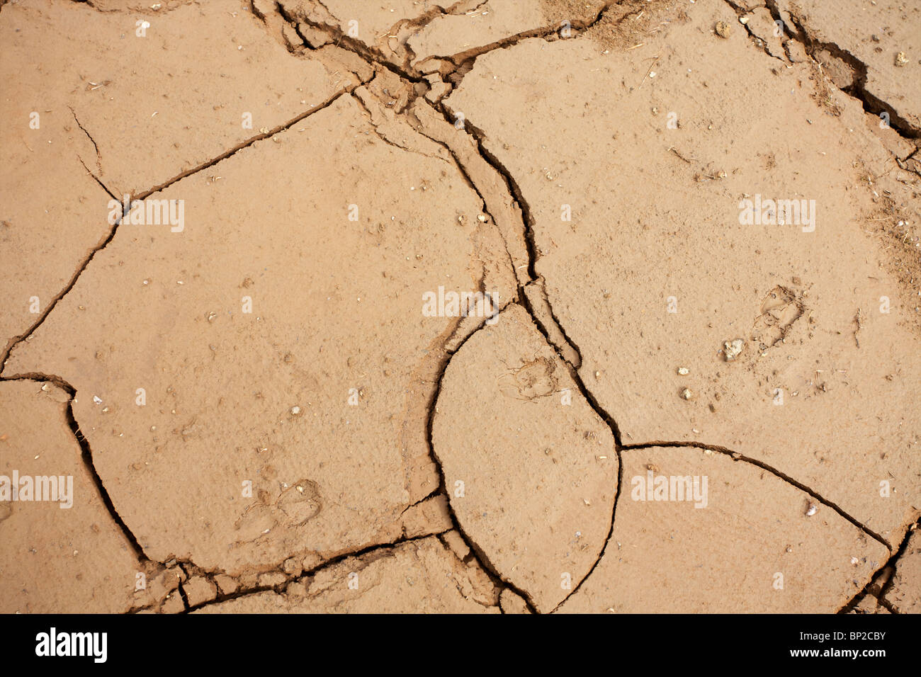 Dried and cracked up mud hi-res stock photography and images - Alamy