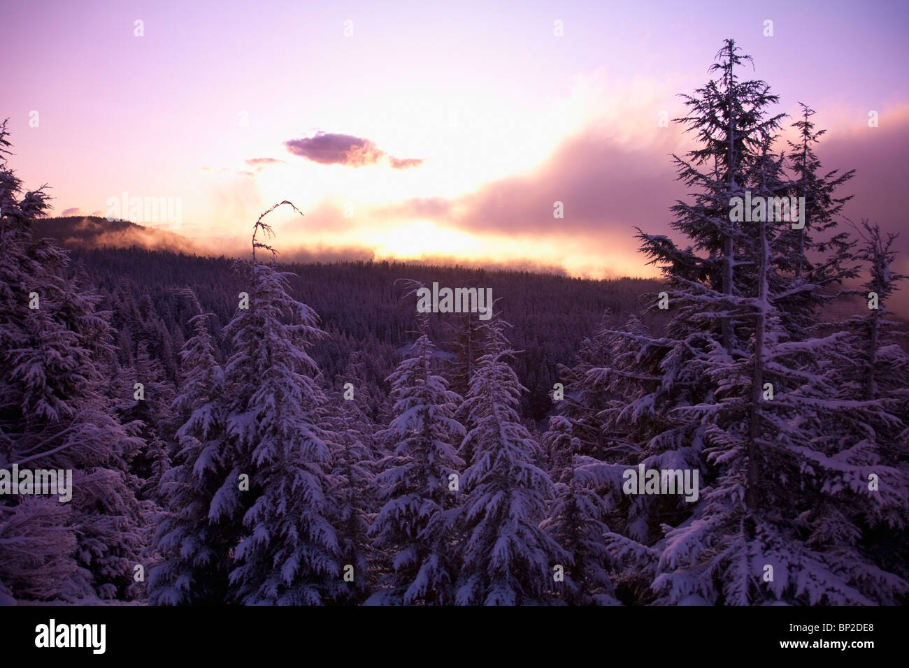 Timberline, Oregon, United States Of America; Sunrise Over Snow Covered ...