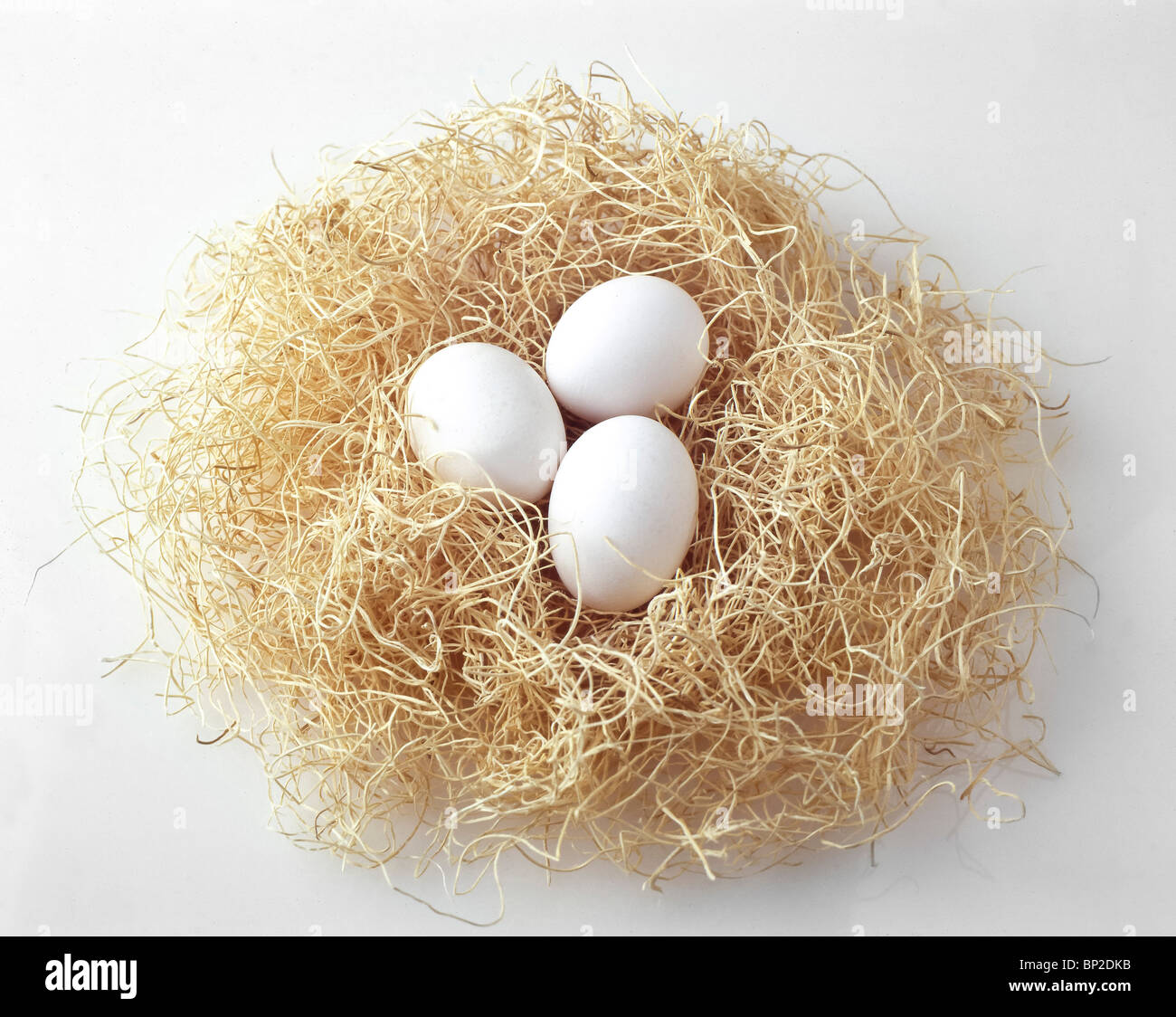 Eggs in a nest Stock Photo - Alamy