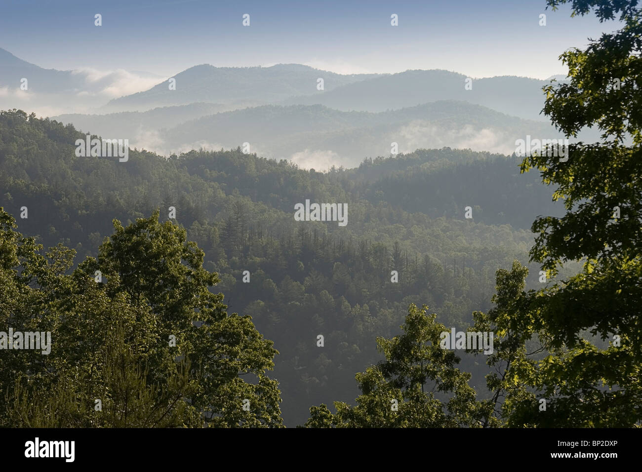 Georgia Mountain Early Morning Mist Stock Photo - Alamy
