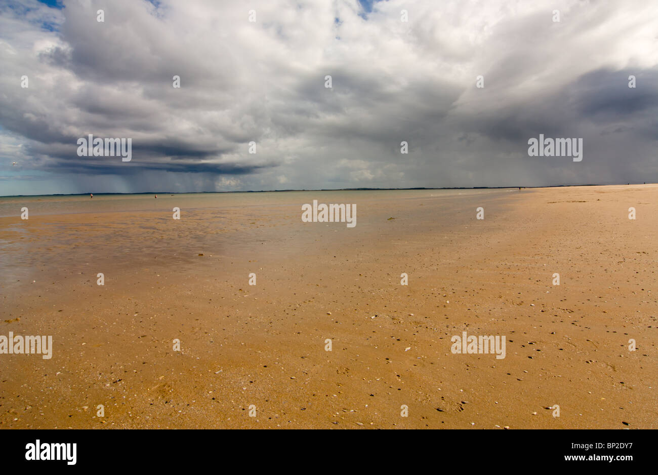 Dornoch Sands on the shore of the Dornoch Firth a short walk from the ...