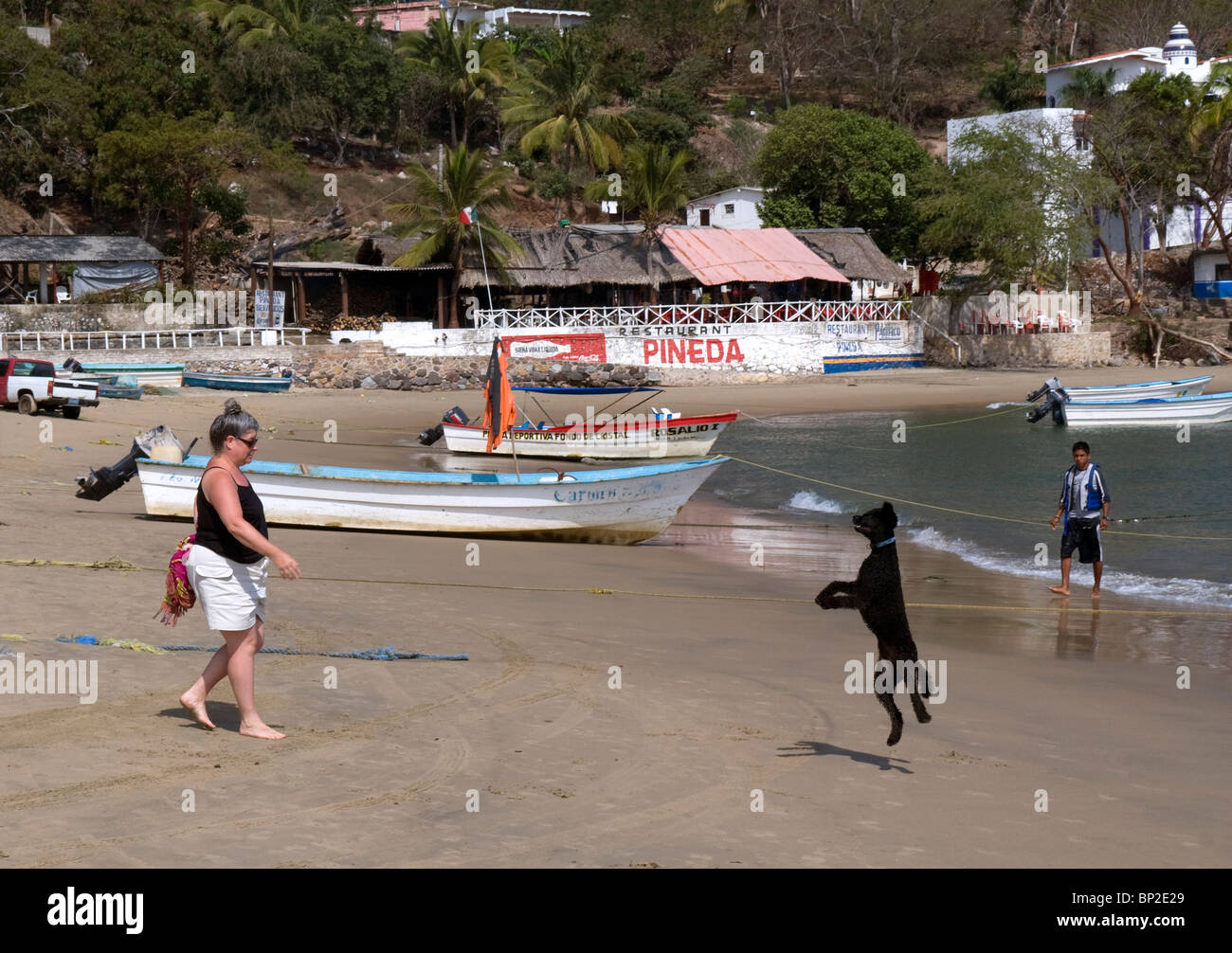 Guayabitos hi-res stock photography and images - Alamy
