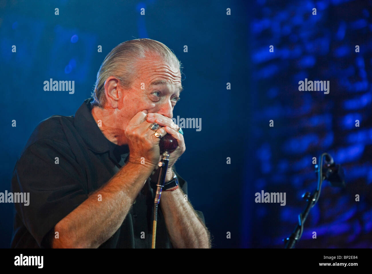 Charlie Musselwhite Charles Douglas (Memphis Charlie) playing harmonica ...