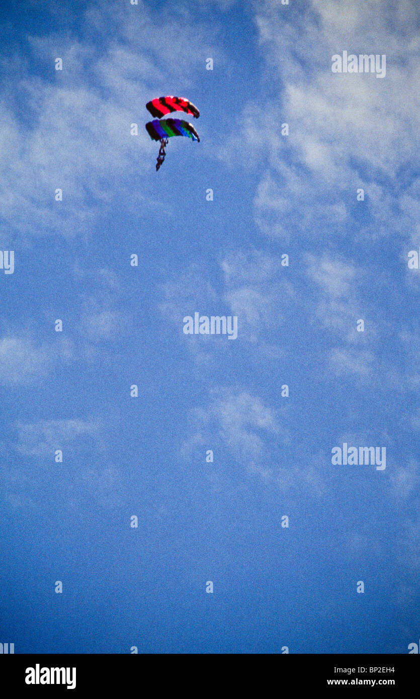 Two men in tandem parachute jump landing at airshow Stock Photo - Alamy
