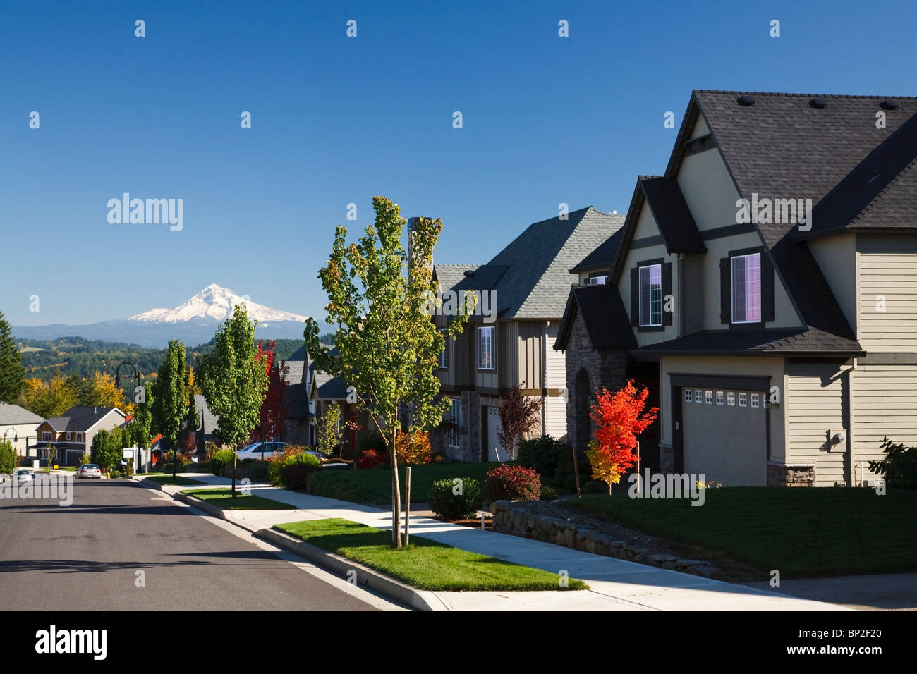 Oregon, United States Of America; Autumn Colors Along A Street With New ...