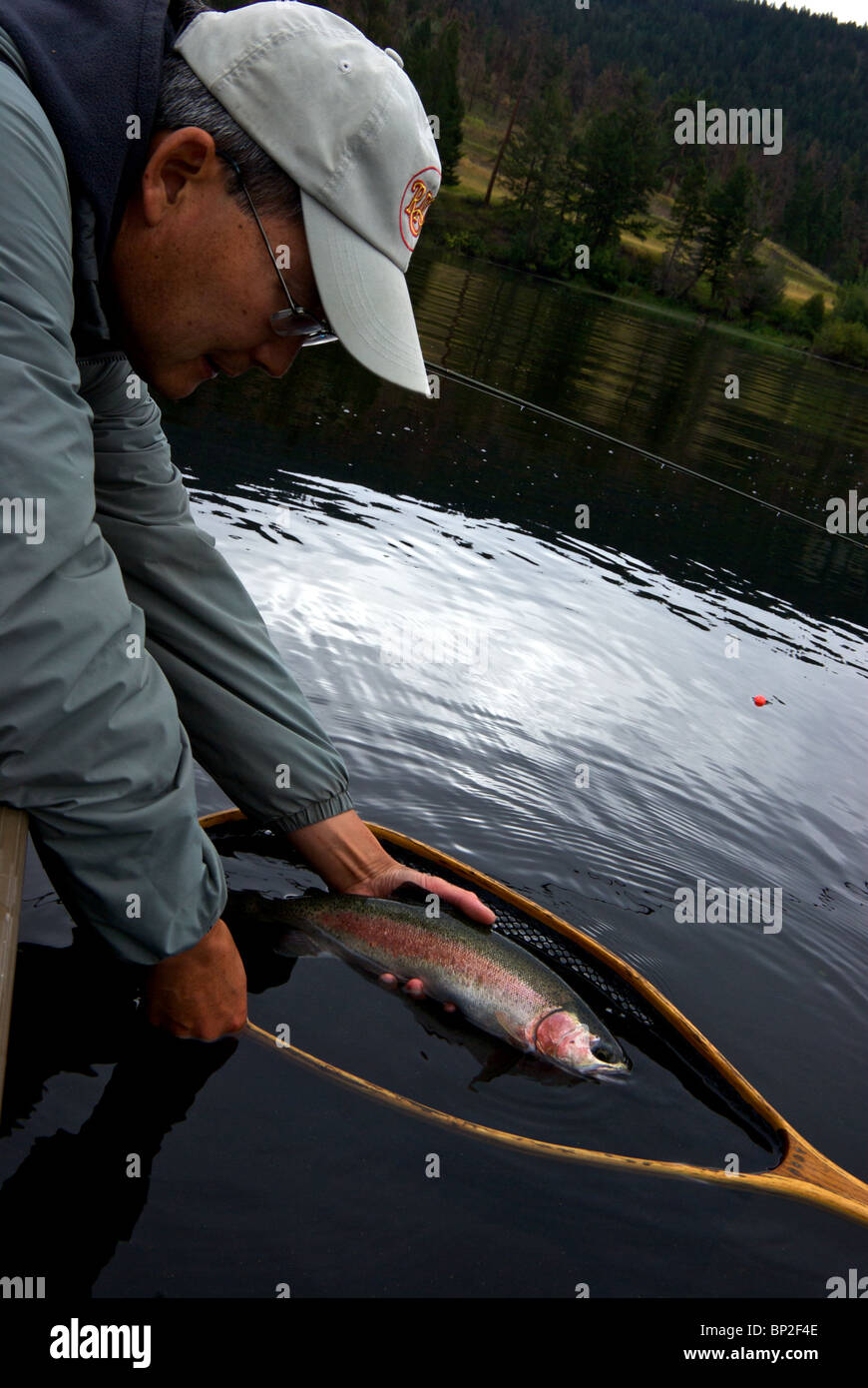 Smiling sport fisherman admiring crimson flanked wild Mamit Lake ...