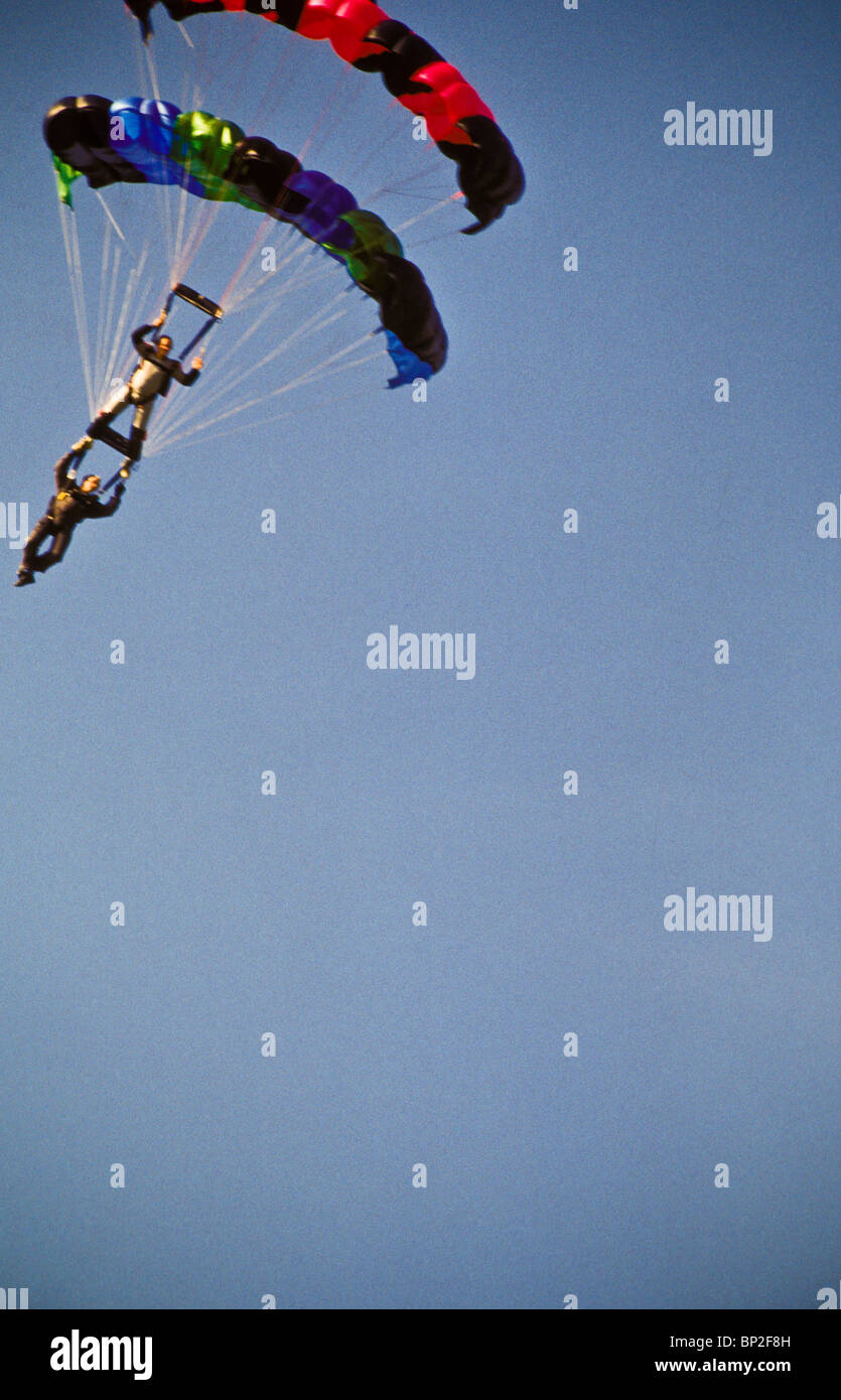 Two men in tandem parachute jump landing at airshow Stock Photo - Alamy