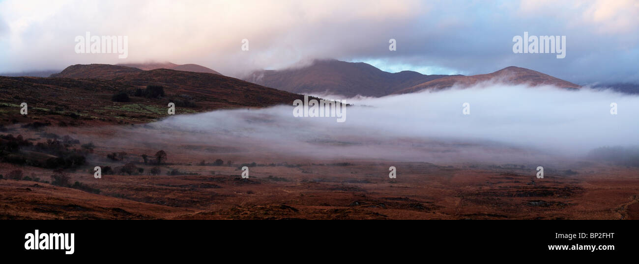Ireland fog hi-res stock photography and images - Alamy