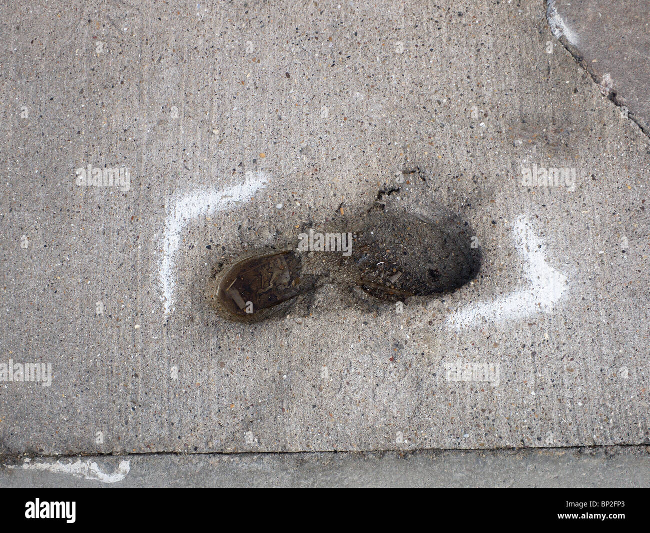 Footprint in wet concrete hi-res stock photography and images - Alamy