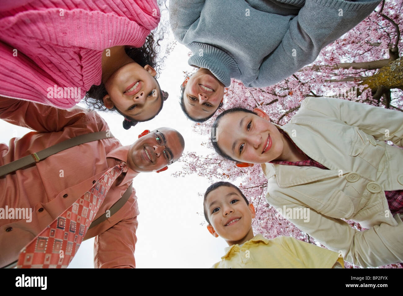 Family tree ancestry hi-res stock photography and images - Alamy