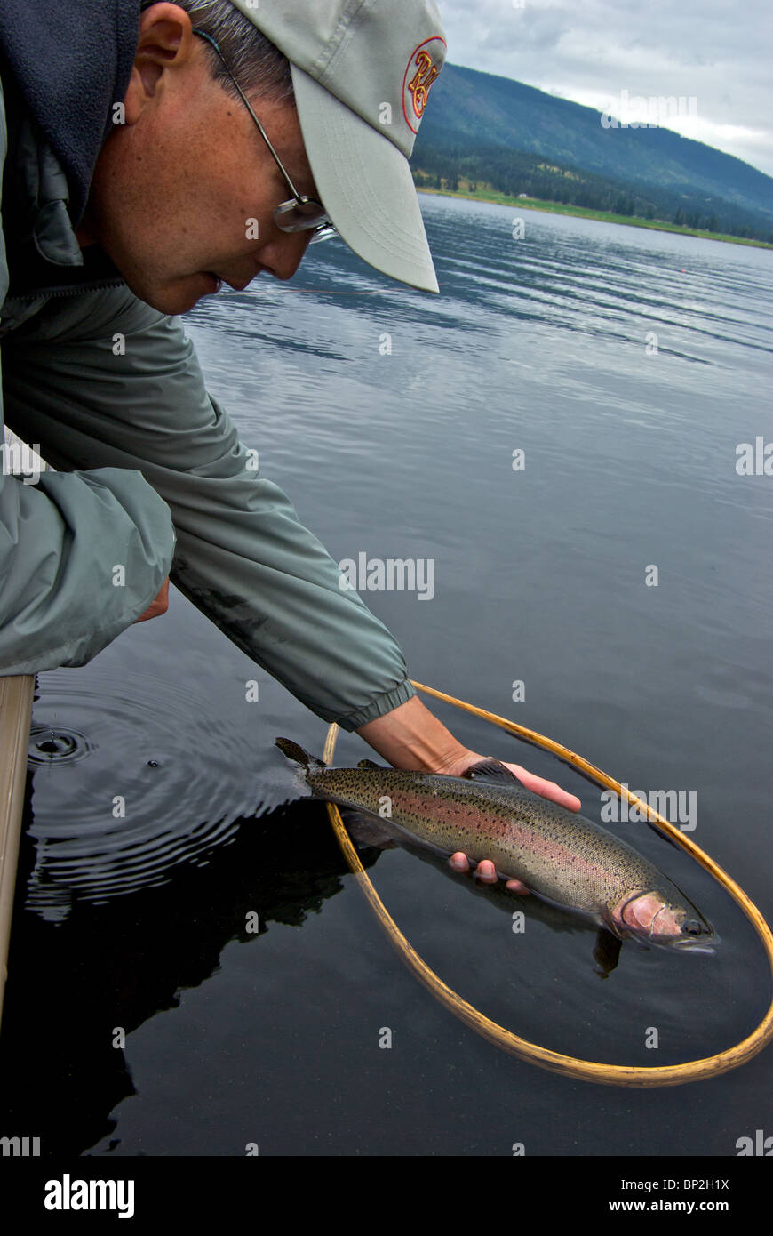 Kamloops rainbow trout hi-res stock photography and images - Alamy