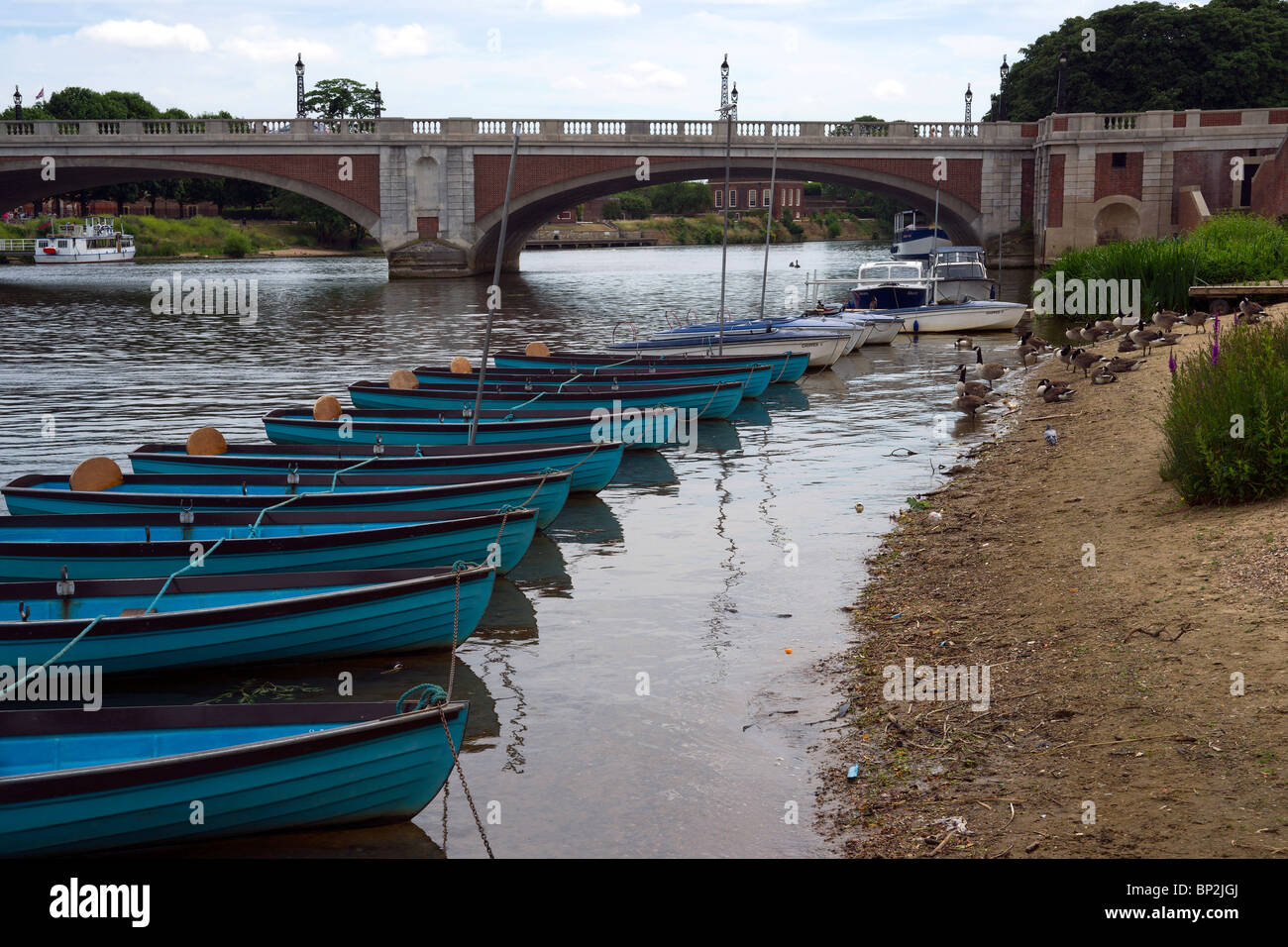 Hampton Court Bridge River Thames rowing boats Stock Photo - Alamy
