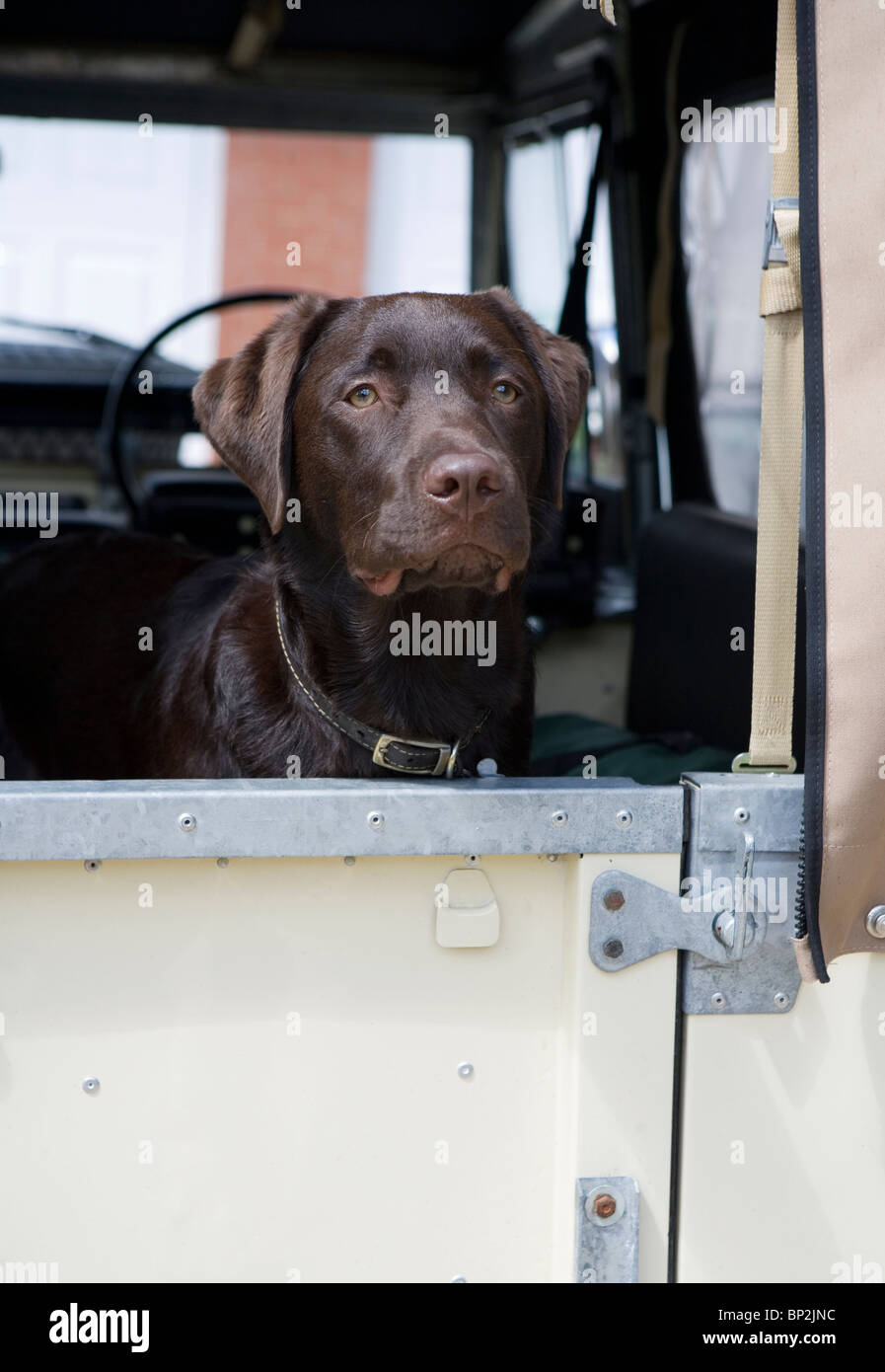 Car landrover hi-res stock photography and images - Alamy