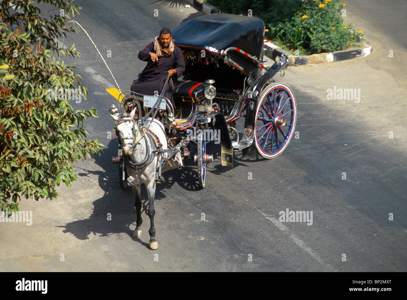 Calache hi-res stock photography and images - Alamy